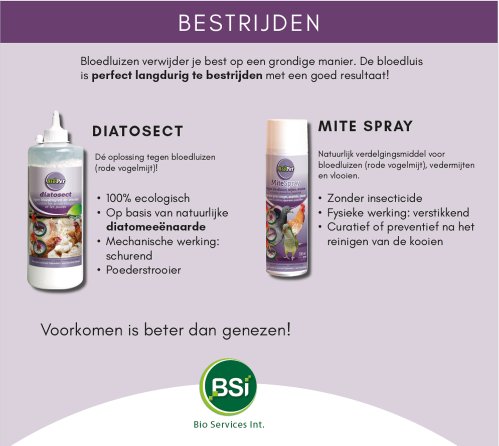 Bloedluis op je kippen? Wees er op tijd bij! - Tips & advies - Bio ...